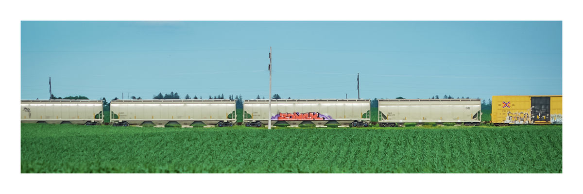 Corn Graffiti alpha – Kory Bassett photography art